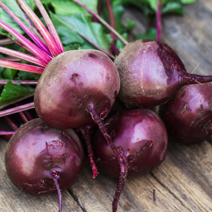 Beet 'Early Wonder' Organic Heirloom (50 seeds) – Lily's Garden Store